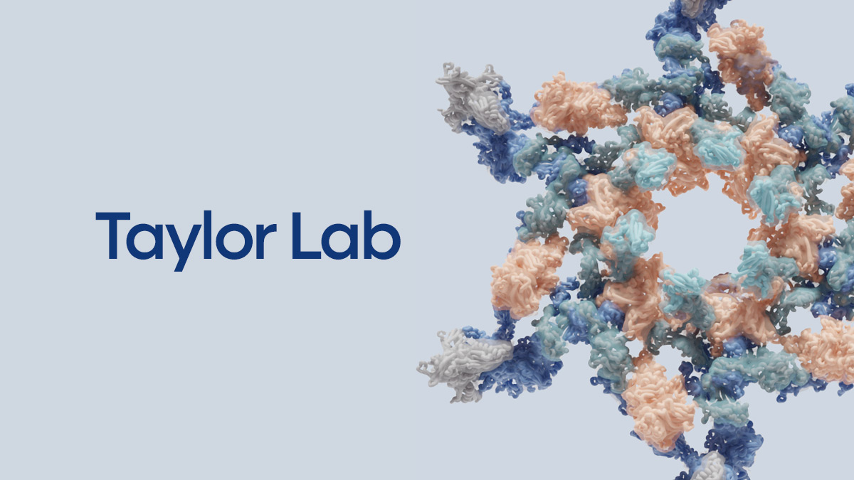 Welcome to the NMI Taylor Lab